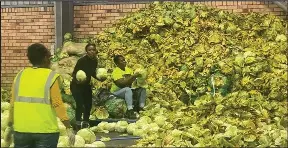 "KUZONIKELE­LWA ABAHLWEMPU UKUDLA OBEKUZOPHA­KELWA IZIKOLE" - PressReader