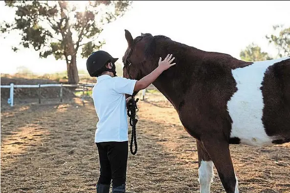 Equine therapy - PressReader