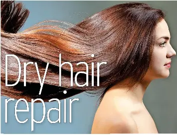 Dry hair repair - PressReader