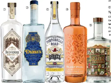 FIVE OF THE BEST WHITE SPIRITS FOR CHRISTMAS - PressReader