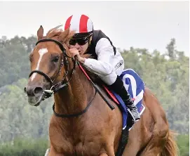 Three-year-olds ready to shine - PressReader