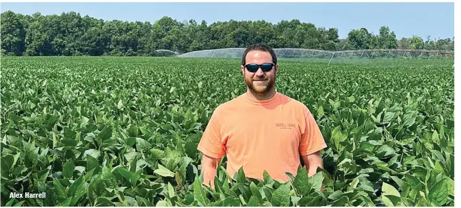 GROWING 2OO-BUSHEL SOYBEANS - PressReader