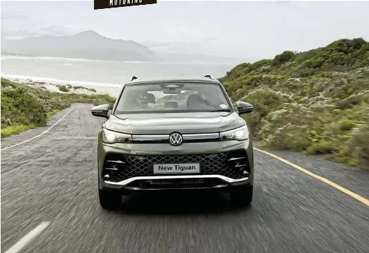 SPRING ROLLING - PressReader