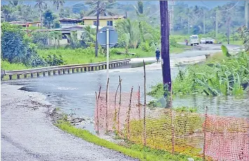 Flood forces farmer to harvest, sell dalo - PressReader