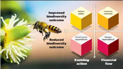 What do we spend looking after nature in Aotearoa? - PressReader