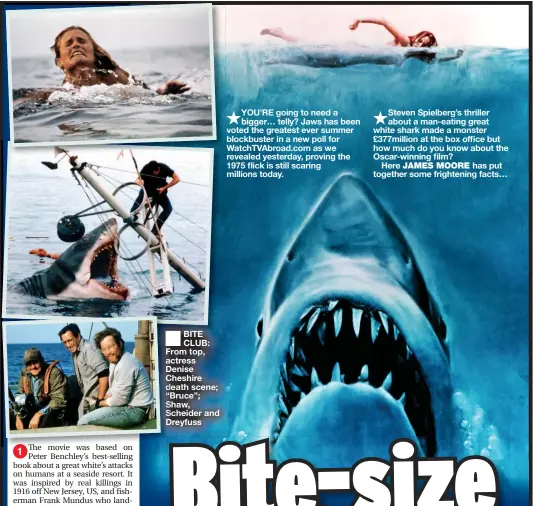Bite-size facts on JAWS - PressReader