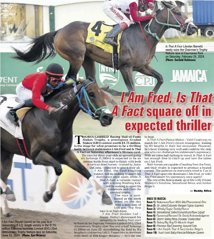 I am fred, Is that Afact square off in expected thriller - PressReader