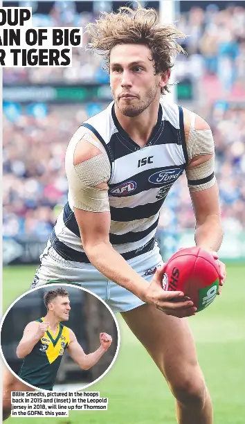 EX-CAT COUP EASES PAIN OF BIG OUTS FOR TIGERS - PressReader