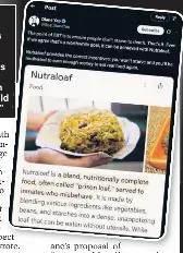 MORAL 'LOAF' GROUND - PressReader