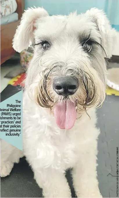 We are paw-mily - PressReader