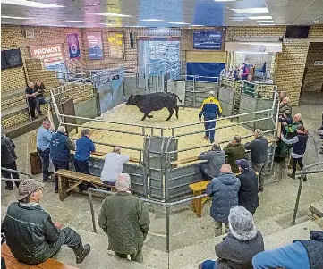 Farmers left in dark over Forfar Mart - PressReader