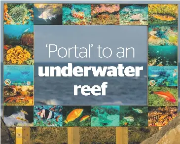 ‘Portal’ to an underwater reef - PressReader