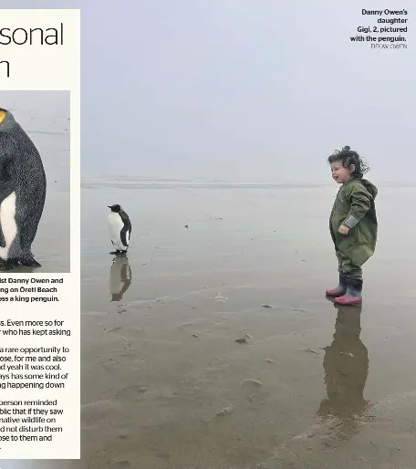 Up close and personal with king penguin - PressReader