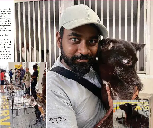 Animal saviour - PressReader