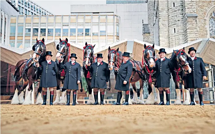 Hold your horses - PressReader