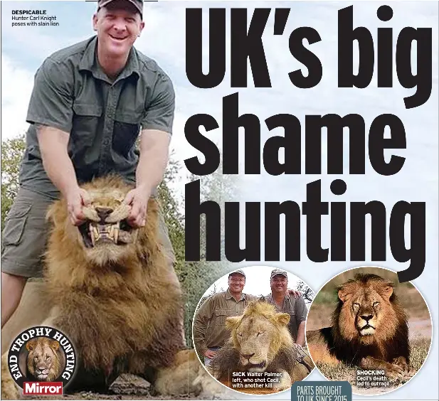 UK’S big shame hunting - PressReader