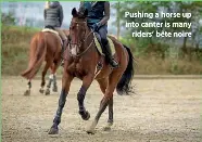 Smiling will facilitate a confident transition to canter - PressReader