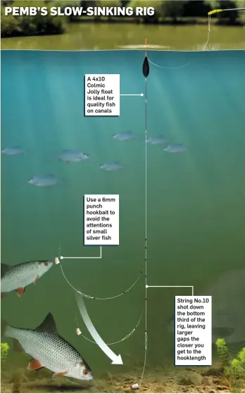 Slow-sinking rigs for canal success – Pemb Wrighting - PressReader
