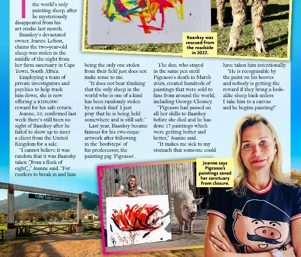 BAA-NKSY’S ON THE LOOSE! - PressReader