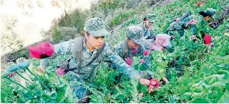 Van al campo de batalla - PressReader