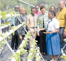 GREENHOUSE excites Papine High students - PressReader