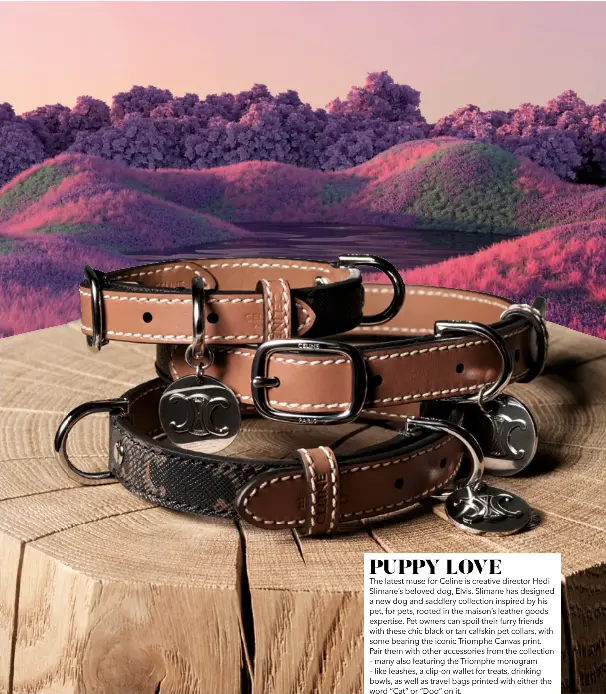 PUPPY LOVE - PressReader