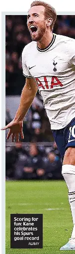 Tottenham down to bare bones - PressReader