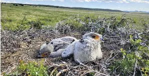 Kortliks - PressReader