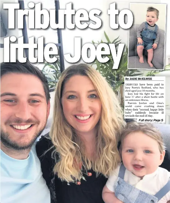 Tributes to little Joey - PressReader