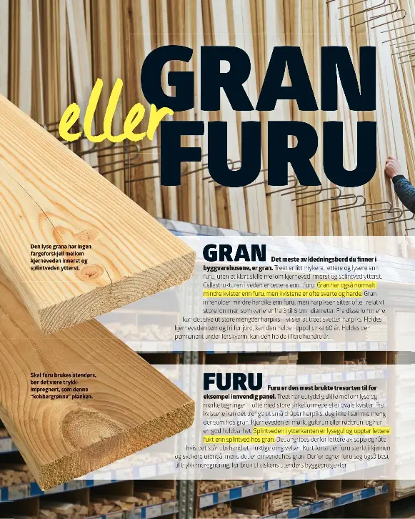Gran eller furu? Se hva du skal velge til ditt neste prosjekt ...