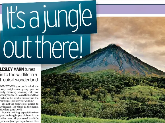 It’s a jungle outthere! - PressReader