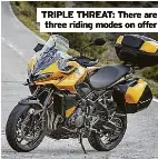 TRIUMPH TIGER ROARS - PressReader
