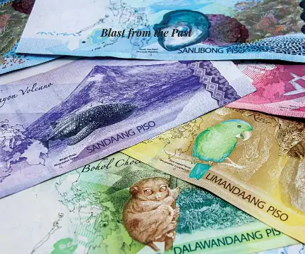 The wealth of wildlife: Animals on Philippine currency - Animal Scene ...