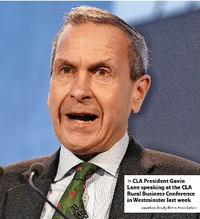 Lane points to vast potential of rural economy - PressReader