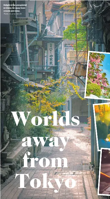 Slow down and head to Ehime - PressReader