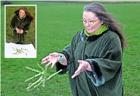 The asparagus has spoken – England will win Euro 2024 - PressReader