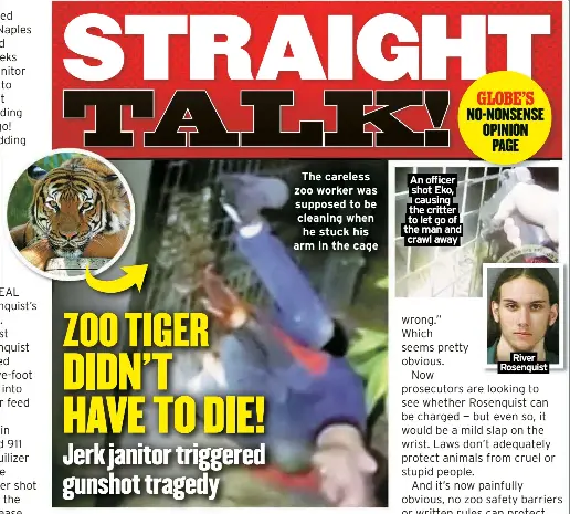 ZOO TIGER DIDN’T HAVE TO DIE! - PressReader