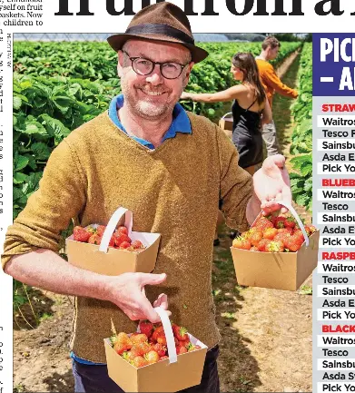 Rich pickings! How you can slash your grocery bills – by grabbing your ...