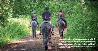 BHS survey points to a brighter future for equestrian­s - PressReader