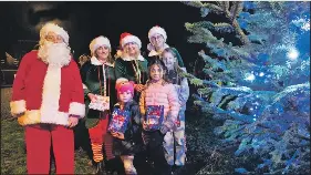 Talented young artist’s festive creation lights up Upper Achintore ...