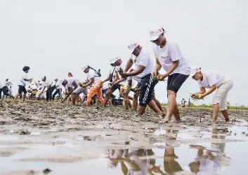 Plantadas dez mil mudas de mangais na Ilha do Mussulo em Luanda ...