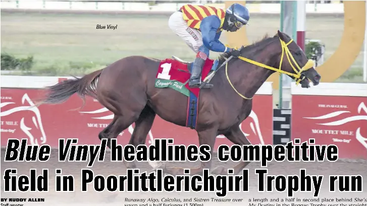 Blue Vinyl headlines competitiv­e field in Poorlittle­richgirl Trophy ...