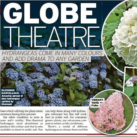 GLOBE THEATRE - PressReader