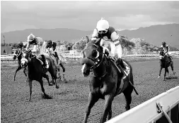 Mahogany too good for Eileen Cliggott field - PressReader