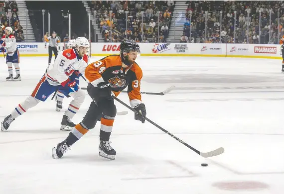 BASHA MAKES TRIUMPHANT RETURN TO WHL - PressReader