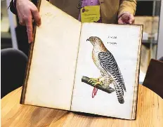 Abu Dhabi book fair: Gold Quran, Dh11m book among showstoppe­rs - PressReader