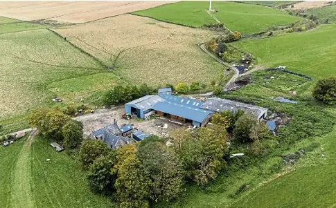 Two face cattle neglect charges - PressReader