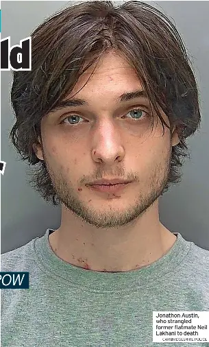 23-year-old given life sentence for murder of former flatmate - PressReader