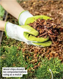 Quick QUESTIONS - PressReader