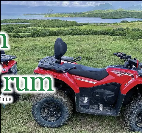 Drink in the sun, and the rum - PressReader